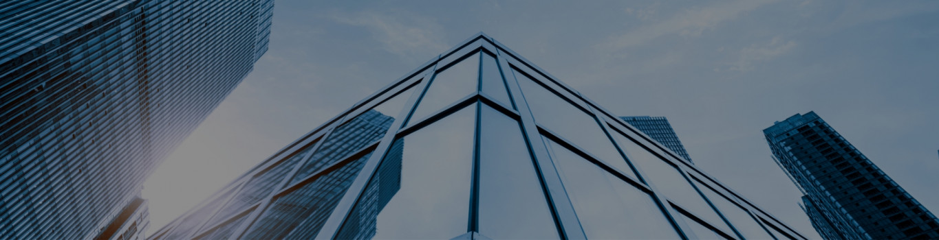 Business Overview | BIS Group